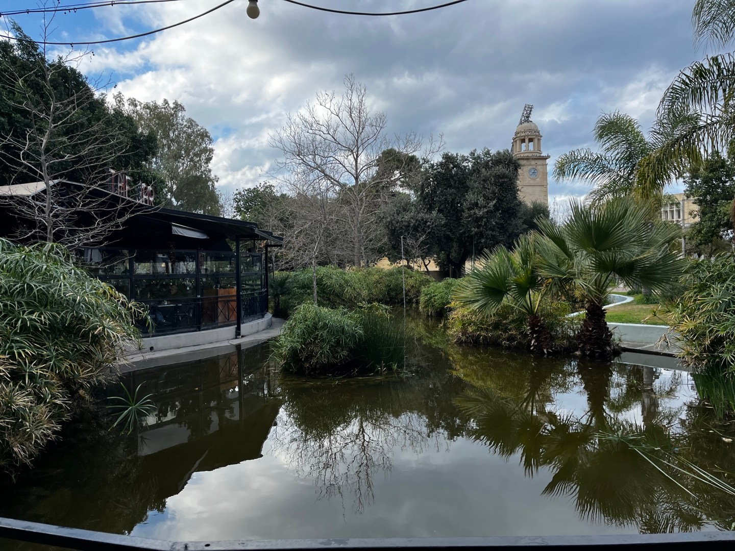 20 | January | 2026 | Jeannette Theresia Paterakis Blog